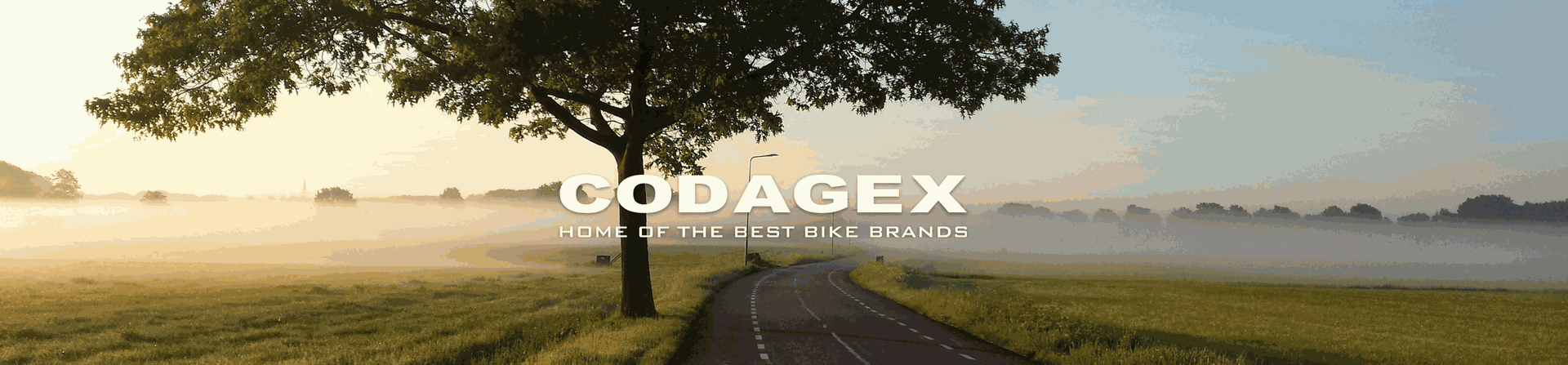 Codagex | Premium Cycling Distributor | High-End Bike Brands Since 192